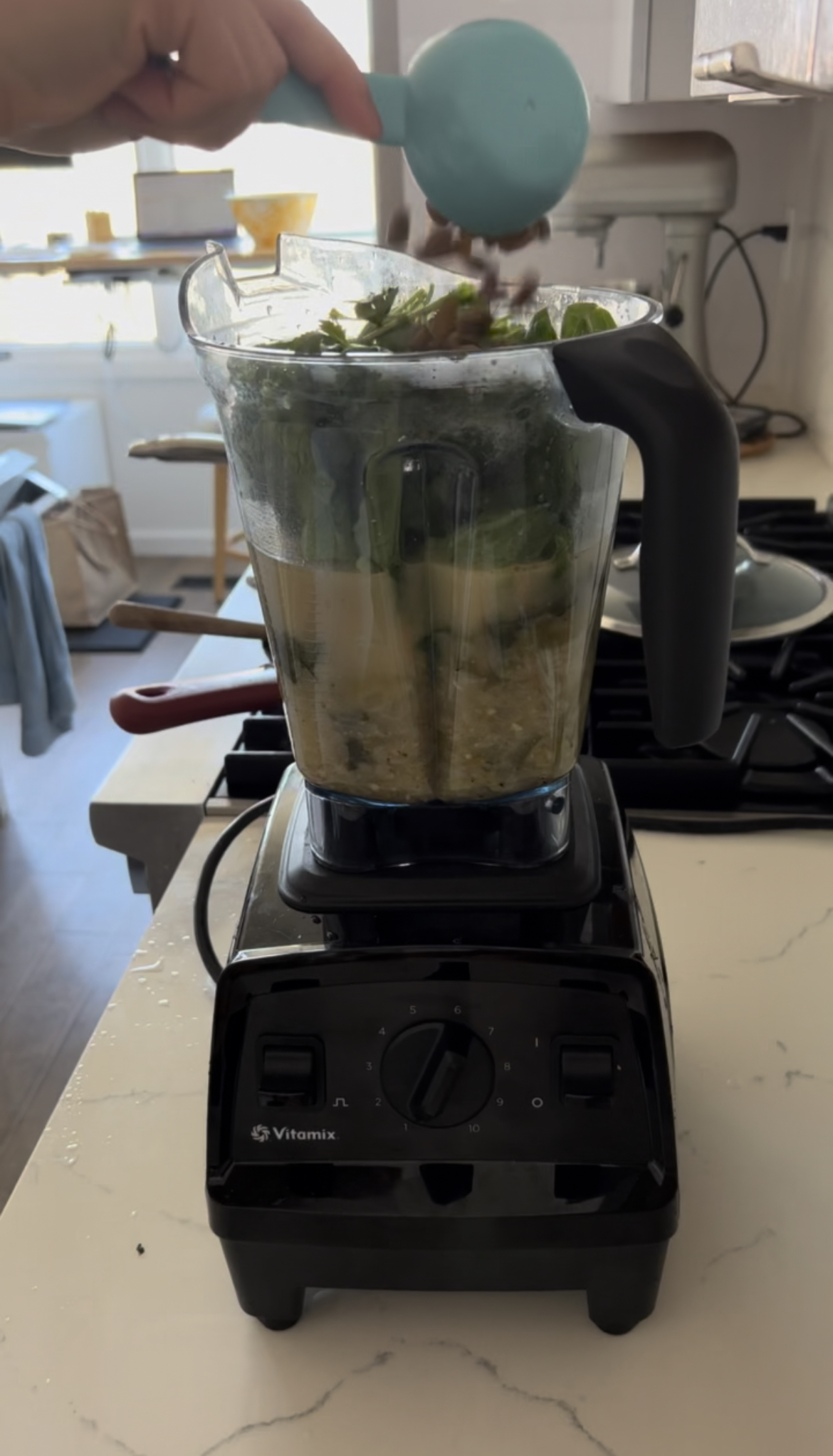 Braised Tomatillo Pistachio Chicken Mole (Mole Verde) - Everyday Delish