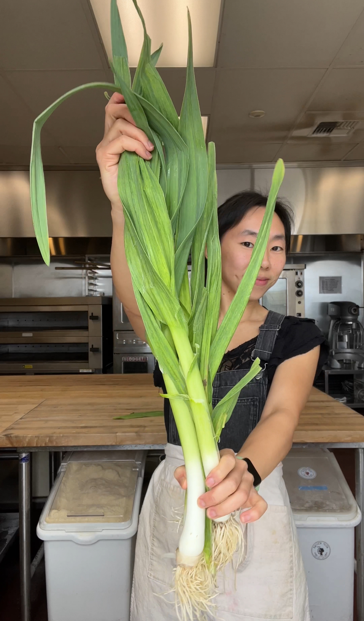 Green Garlic - What is it, and how to use it - Everyday Delish