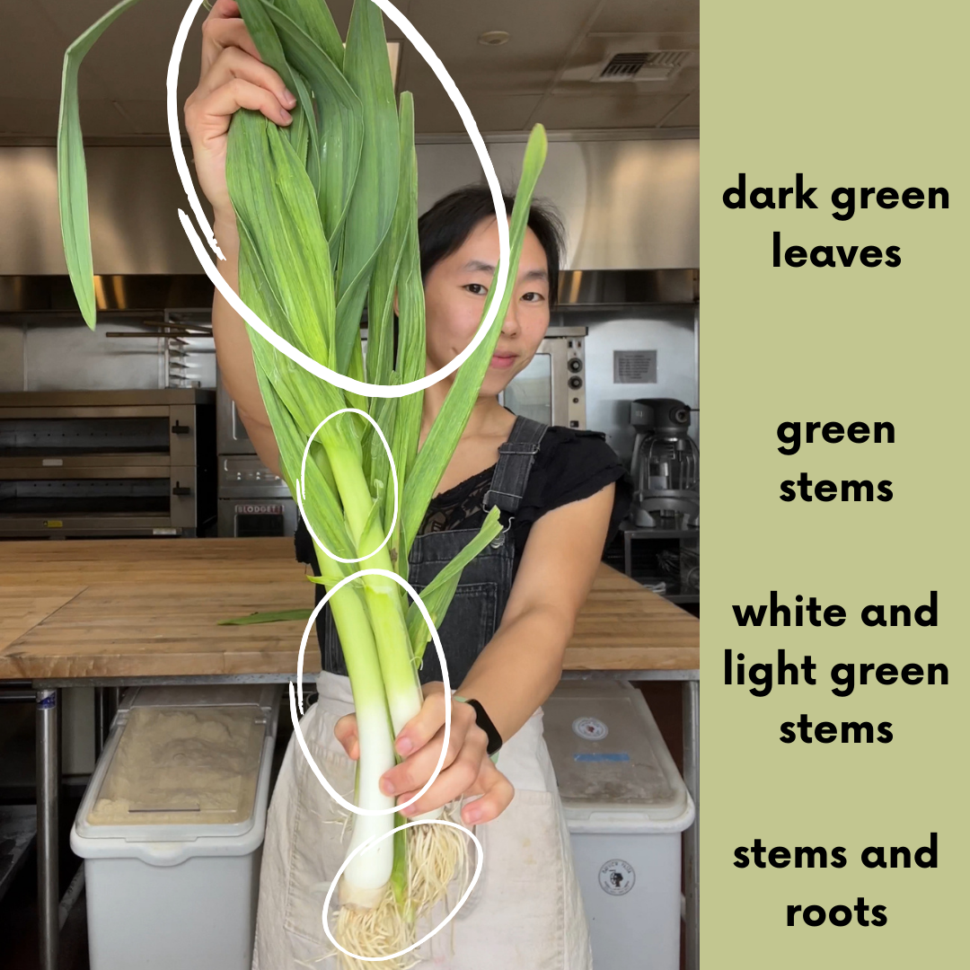 Green Garlic - What is it, and how to use it - Everyday Delish