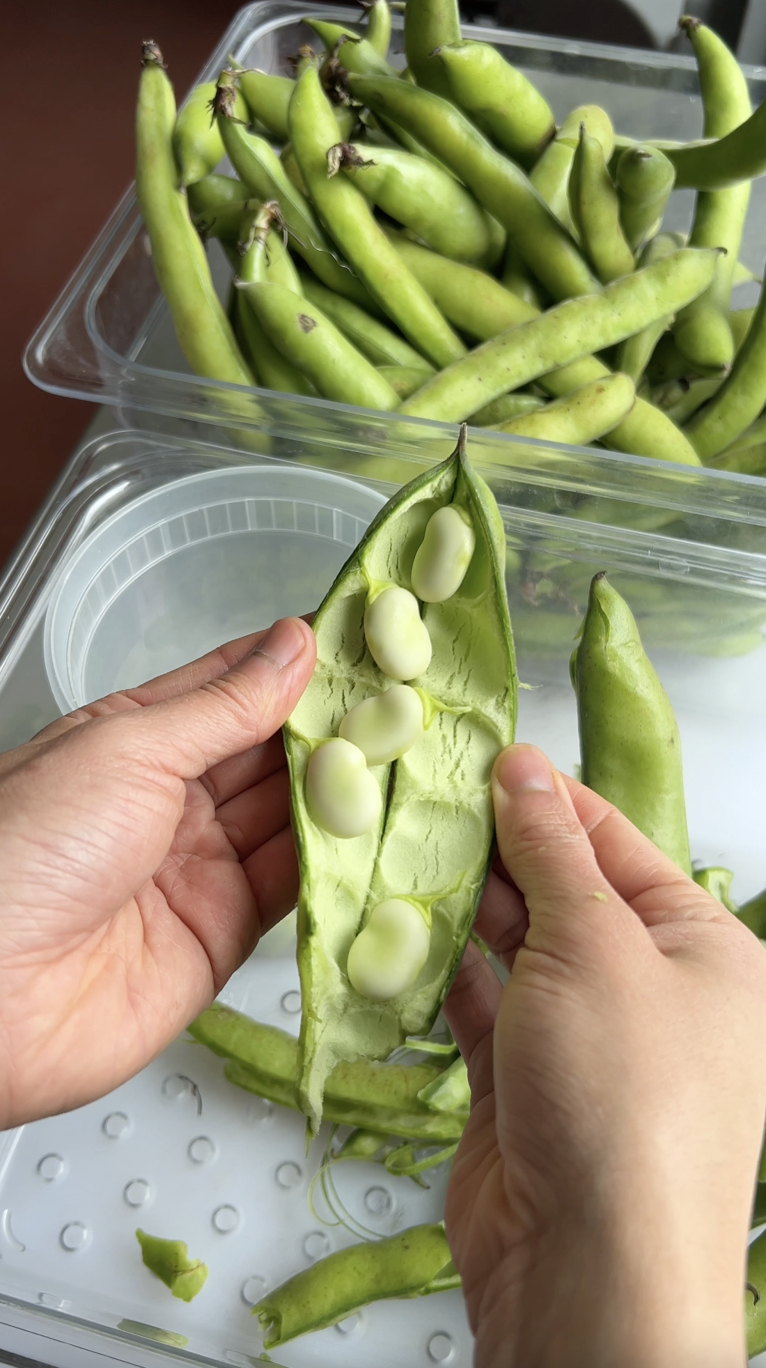 How to Prep and Cook Fava Beans - Everyday Delish